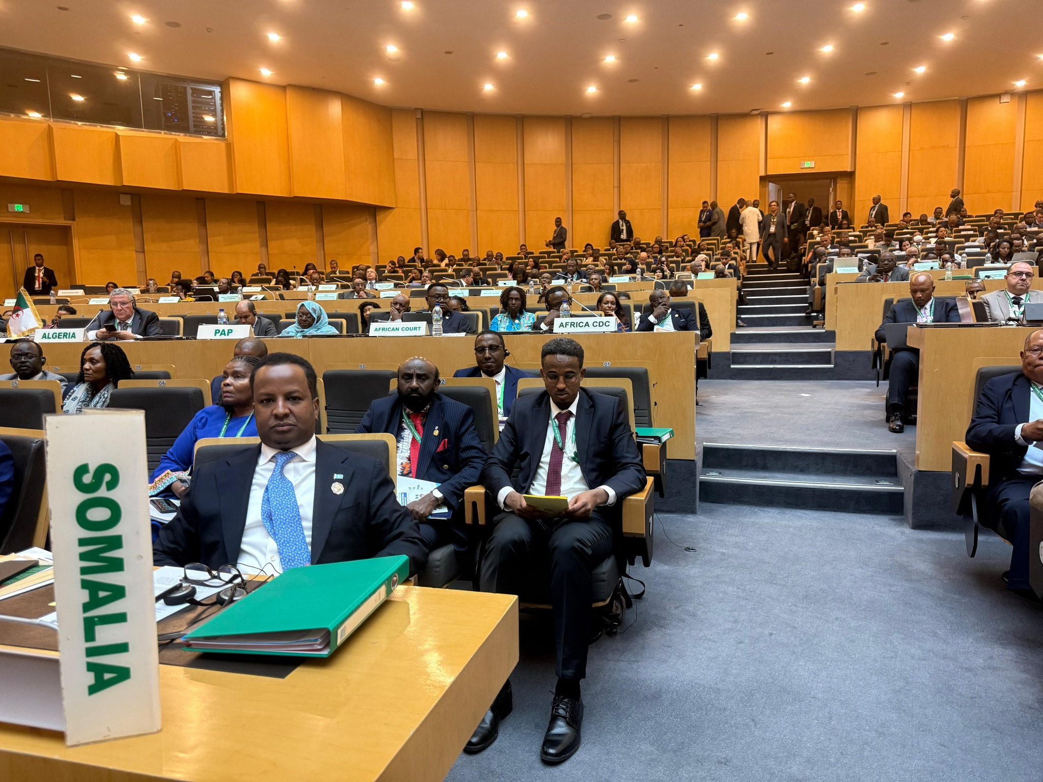 Somalia's Diplomatic Resurgence Earns Seat on Africa's Top Security Body