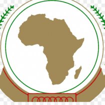 AFRIPOL Holds the Sixth Meeting of its Steering Committee