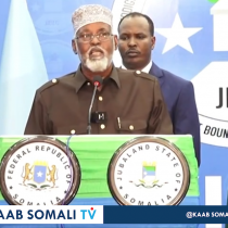 Horn Observer - Horn of Africa News & Information Hub