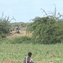 Al-Shabaab Claims Attacks in Mogadishu's Dayniile District