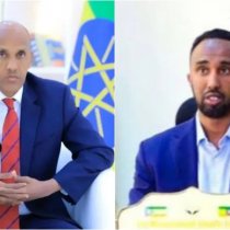 Ethiopia-Somaliland MoU gains support from Somali Region leaders amid ...